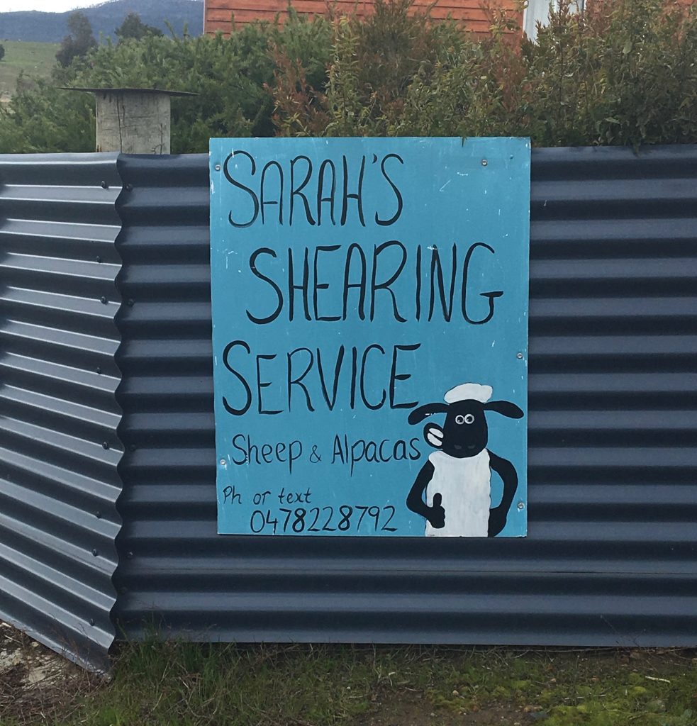 shearing service - What Becomes of the Lionhearted?