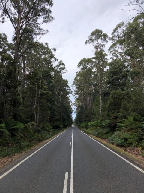 From the Mountains to the Sea - What Becomes of the Lionhearted?